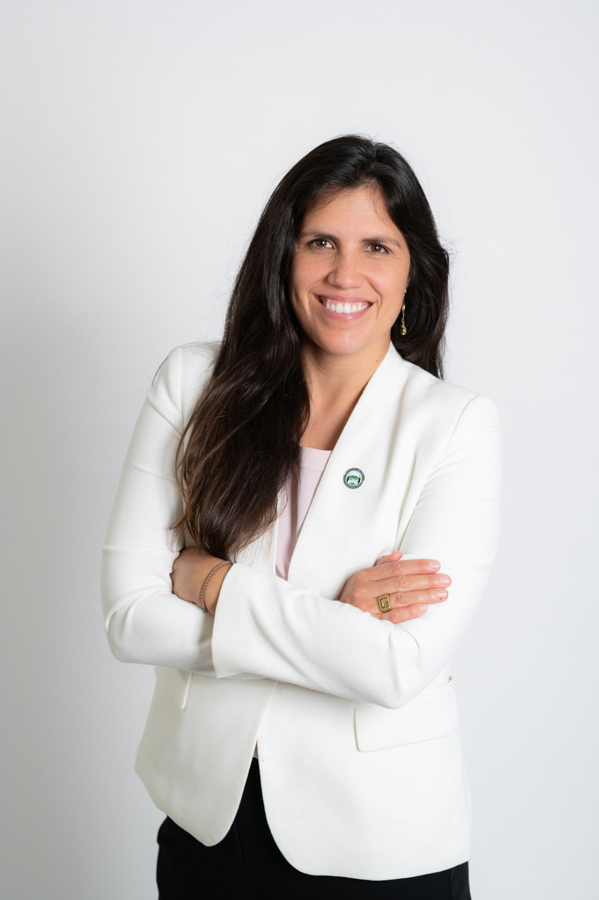 Arlis Reynolds - America Walks